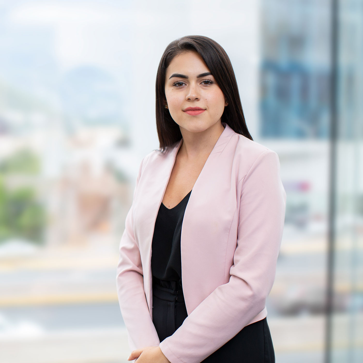 Treviño y Mendoza Abogados, S.C.